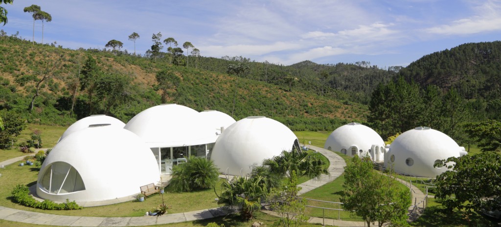 Conheça a Associação ARACÊ